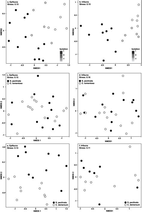 nmds ordination based on bray curtis dissimilarity of the epi and
