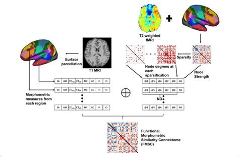 Generating The Functional Morphometric Similarity Connectome Fmsc