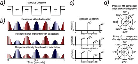 Figure 4 From The Steady State Visual Evoked Potential In Vision