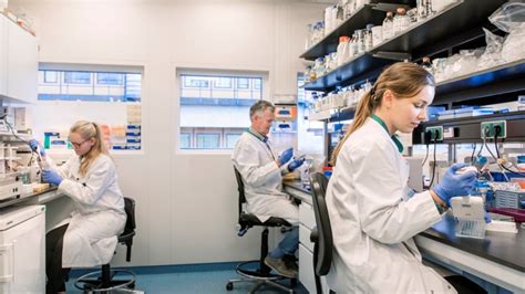 Complement And Antibodies Lumc