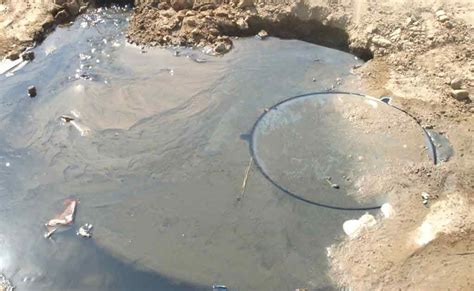 Zona Mochumi Mochumi 2010 En Fotos