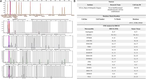 Str Dna Profiling Comparison And Bioinformatic Analysis Of Ddcs2 A