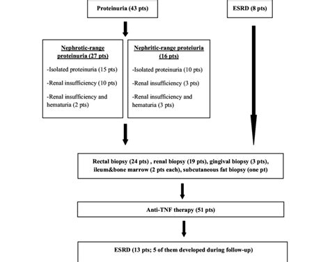 Presentation Findings And Investigation Of Secondary Amyloidosis In As