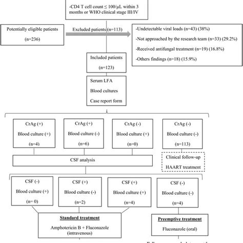 Flow Chart Of The Specimen Testing Algorithm Download Scientific