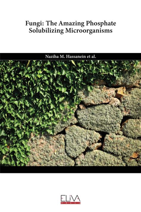Fungi The Amazing Phosphate Solubilizing Microorganisms Hassanein Naziha M Moussa Lobna