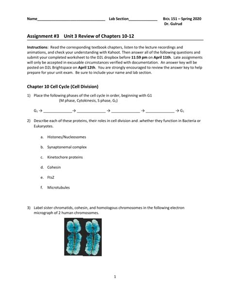 Cell Cycle Meiosis And Inheritance Review Worksheet