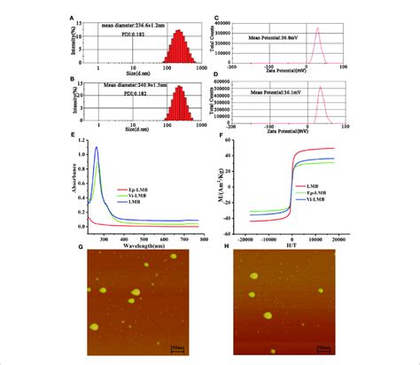 Immunomagnetic Bead Characterization Tests A Particle Size