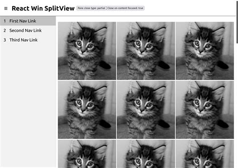 nozzlegear react win splitview npm