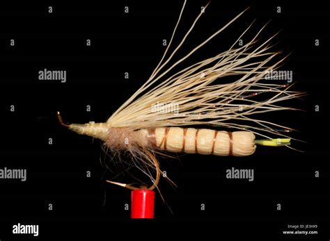 Tying Grasshopper Patterns