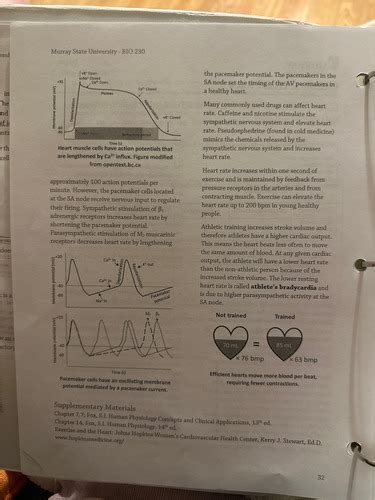 Lesson Heart Rate Flashcards Quizlet