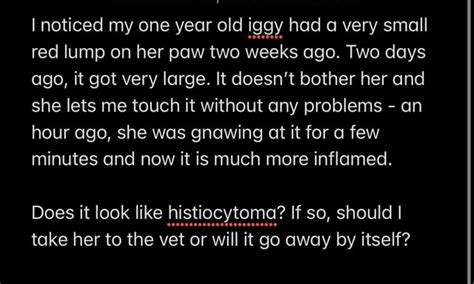 Histiocytoma Ritaliangreyhounds