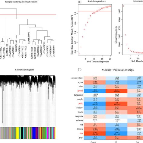 Wgcna A Cluster Analysis Of Samples B Analysis Of Network Download Scientific Diagram