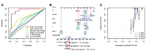 Prognostic Assessment Efficiency Comparison Of The Roc Curve And