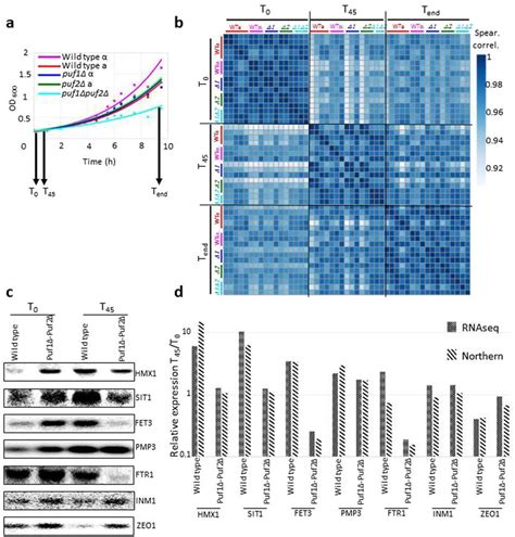Rna Seq Reproducibility And Validation A Growth Curves Of The Five Download Scientific