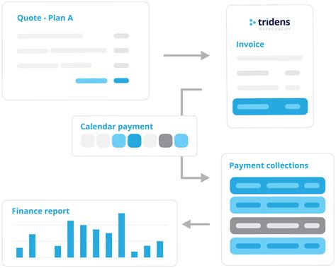 Software And Saas Tridens