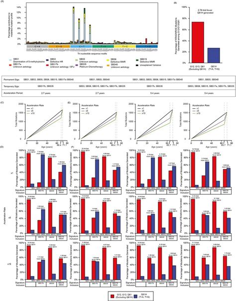 Modelling The Impact Of Mutational Signatures On The Likelihood Of