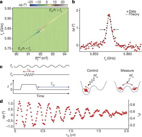 Quantum Control And Dispersive Readout Of A Single Spin A Cavity Phase