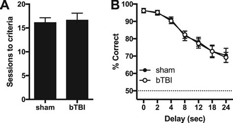 acquisition and performance of the delayed matching to sample task a