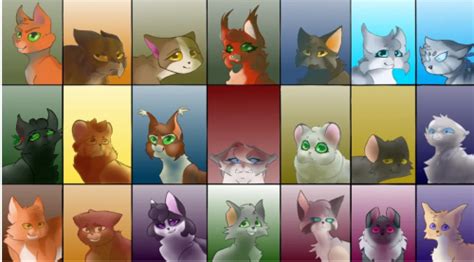 Create A Warrior Cats Female Characters Tier List Tiermaker