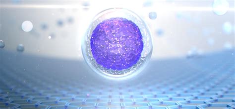 Platforms Applied Spatial Omics Centre Cumming School Of Medicine University Of Calgary