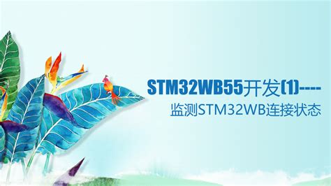 Stm32wb55开发 1 套件概述 知乎