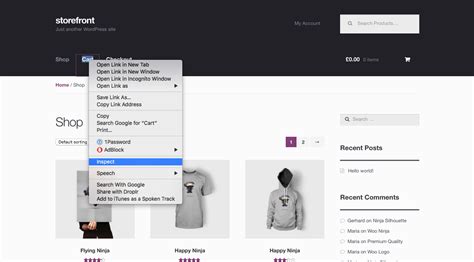 How To Add A Custom Css In Woocommerce