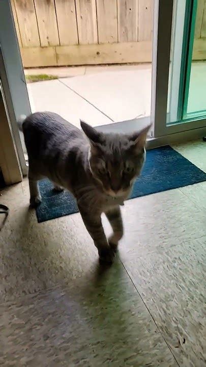 Oliver Si Entiende 😊😊 Youtube