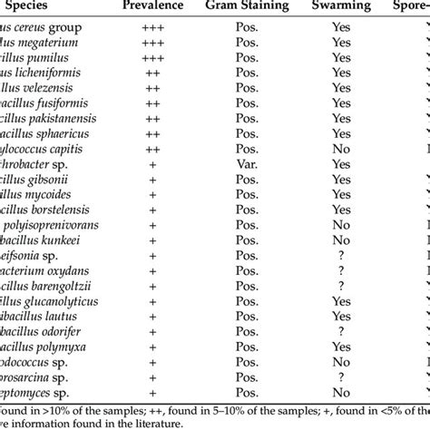 Concomitant Bacteria Identified Via 16s Rrna Gene Sequencing Download Scientific Diagram