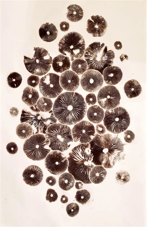 Not Mushroom Porn But Spore Porn Scrolller