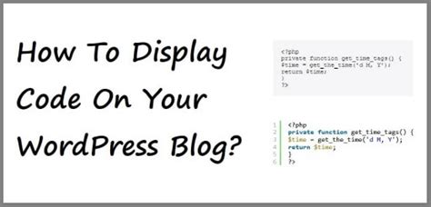 How To Display Code On WordPress Site My Blog Master