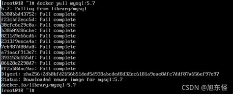 Docker 安装mysql（下载镜像、创建实例、启动、连接）docker怎么下载mysql镜像 Csdn博客