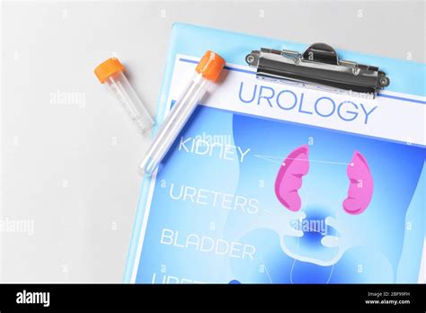 Picture Of Urogenital System And Test Tubes On White Background Stock Photo Alamy