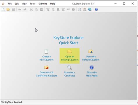 Using Keystore Explorer To Import A Self Signed Or Wildcard Certificate