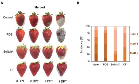 Biocontrol And Biostimulant Effect Of A Fungal Derived Extract In