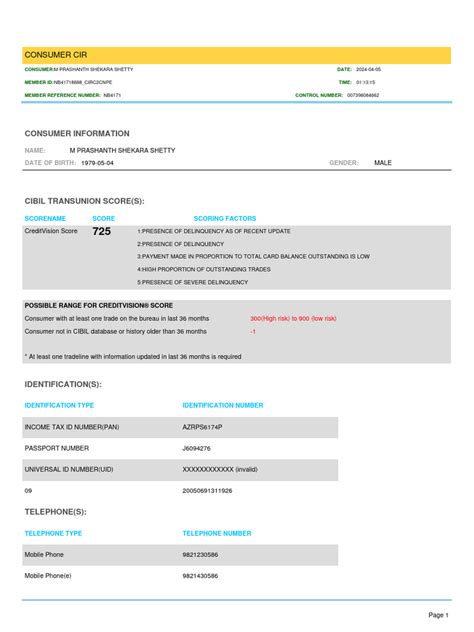 Sample Cibil Report Individual Pdf Credit Finance And Money Management