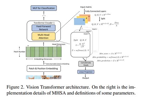 上海交通大学 Cp Vit：通过渐进式稀疏预测进行级联视觉transformer剪枝 智源社区