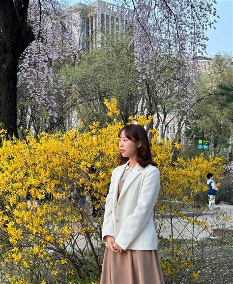 서울 야경 명소 덕수궁 야간개장 예약 예매 입장료 주차 덕수궁 돌담길 석조전 벚꽃 네이버 블로그