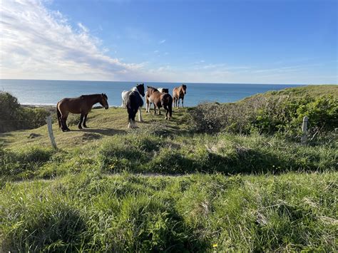 Campingplads Slettestrand Fjerritslev Blokhus Rødhus Svinkløv
