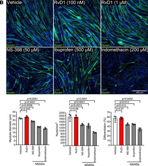 Invitrogen Goat Anti Mouse Igg Hl Superclonal Secondary Antibody