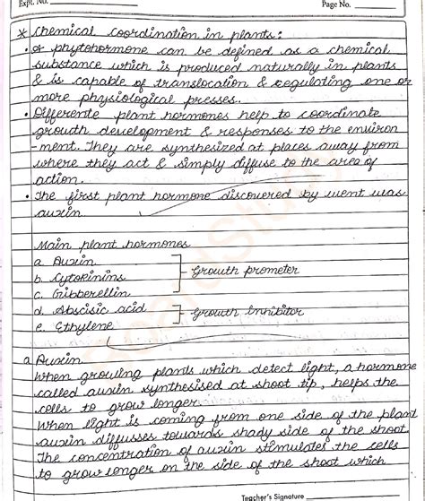 Class 10 Science Chapter 7 Control And Coordination Handwritten Notes Pdf