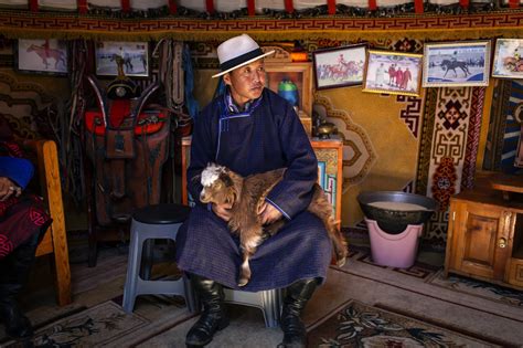 로로피아나 몽골 유목민과 공존의 실 엮다 네이트뷰