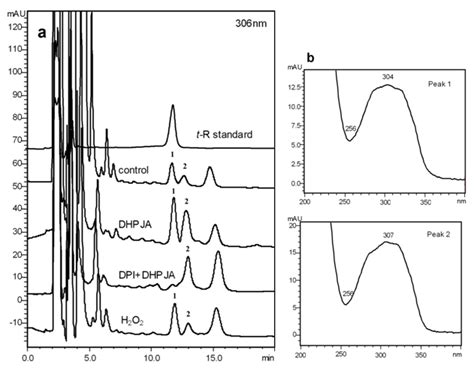 Hplc Profiles A Of Cultures With Different Treatments And Full Download Scientific Diagram