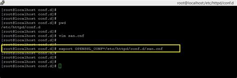 Middlewarebox Openssl Self Signed Sans Certificate