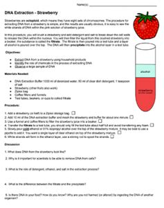 Dna Strawberry Extraction Lab Worksheets