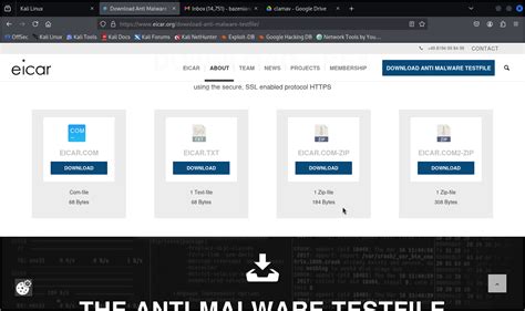 Simulating And Detecting Malware Attacks On Linux With Clamav