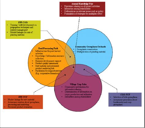 The Multi Pronged Approach Promoted By Codi Download Scientific Diagram