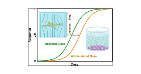 Evaluation Of Toxicity Ranking For Metal Oxide Nanoparticles Via An In Vitro Dosimetry Model