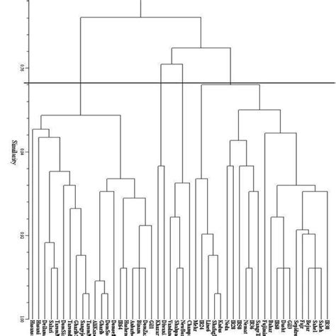 Dendrogram Of Cluster Analysis By Upgma Method Based On Simple Matching