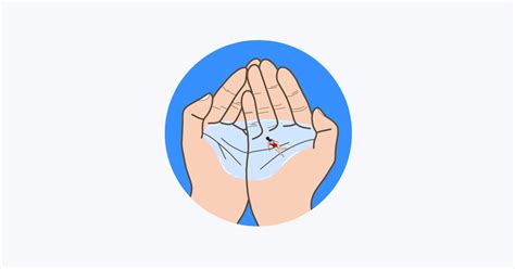 ‎lily Hart Apple Music