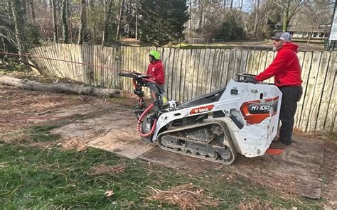 Tree Trunk Splitting Causes And Fixes For Tree Bark Cracks